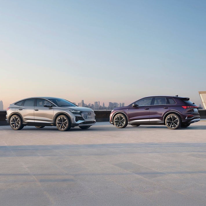 Gamma Audi for Business
